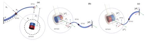The Kinematics Modeling Of The Mmrc A Cosserat Rod Modeling Of The