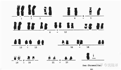 Dna
