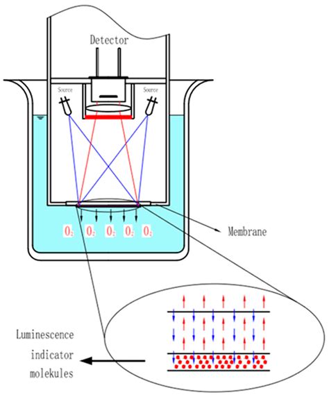 Review Of Dissolved Oxygen Detection Technology From Laboratory Analysis To Online Intelligent
