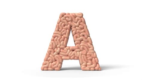 문자 A 3d 일러스트의 모양에 인간의 두뇌 3차원 형태에 대한 스톡 사진 및 기타 이미지 3차원 형태 개념 건강관리와