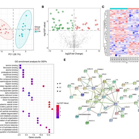 Figure E The Enrichment Analysis Shows The Deps Between Patients In The