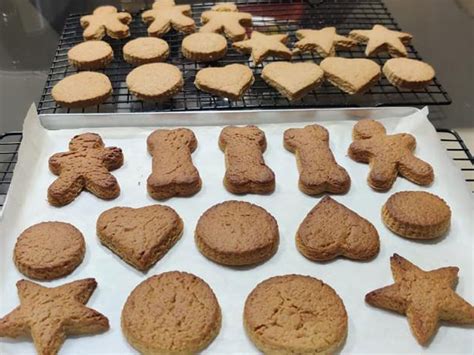 Manufacturer Exporter And Supplier Of Sodium Cmc Sodium Alginate Guar Gum Xanthan Gum Gum