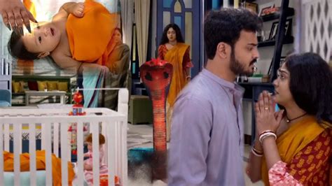 বাবু আমি আর এই বাড়িতে থাকবো নাচিত্রা সাপ হয়ে আমার তারককে মারতে গেছিল