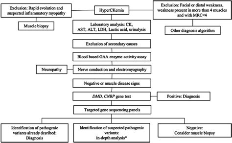 An Integrated Approach To The Evaluation Of Patients With Asymptomatic