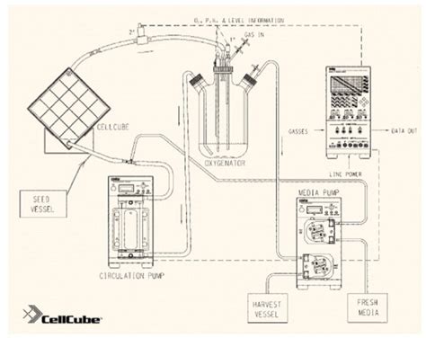 Cellcube Module
