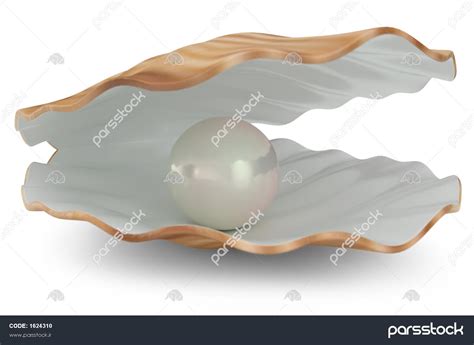 صدف با مروارید داخل پوسته مروارید باز طبیعی تصویر سه بعدی 1624310