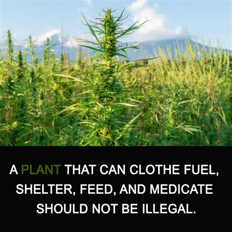 Surprising Benefits Of Cannabis Find 420 Rcannabisculture