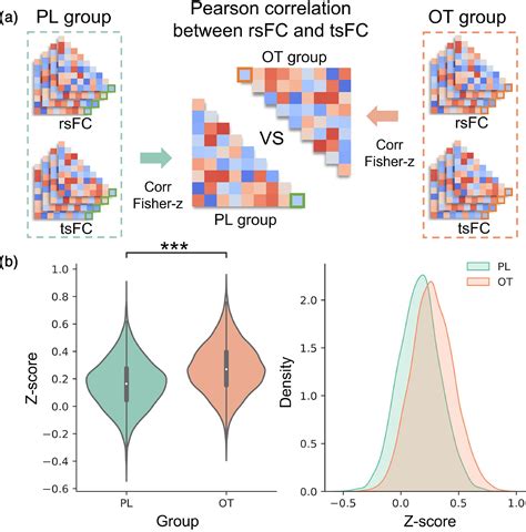 Human Brain Mapping Neuroimaging Journal Wiley Online Library