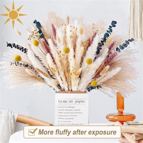 100stems Natural Reed Dried Flower Pampas Grass Diy Handmade Wedding