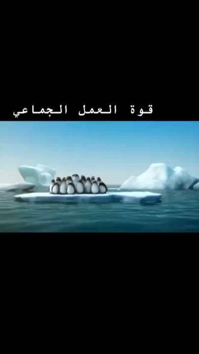 Rakan Alayasrah On Linkedin Power Team Work Extremely Inspired