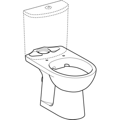 Geberit Selnova Floor Standing Wc For Close Coupled Exposed Cistern Washdown Horizontal Outlet