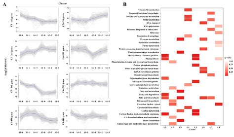 Expression Pattern And Functional Analysis Of The Degs At Different