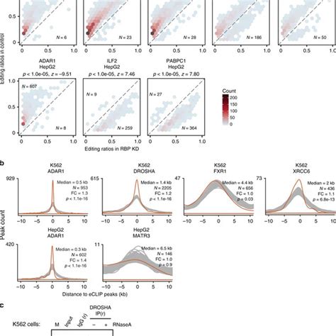 Regulation Of Rna Editing By Alu Binding Rbps A Top Rbps Ranked By