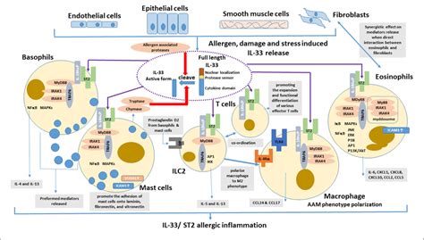 Msg Allergy Reactions Msg Sensitivity Understanding Symptoms