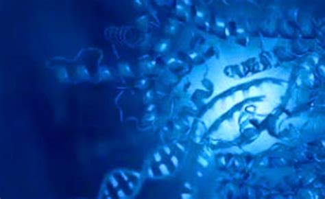 Nanoformulation Biological Evaluation Nanomedicine Cd Formulation