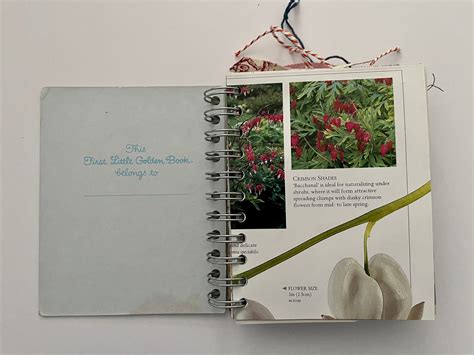 Junk Journal Upcycled Book Little Golden Book Vintage Blank Journal