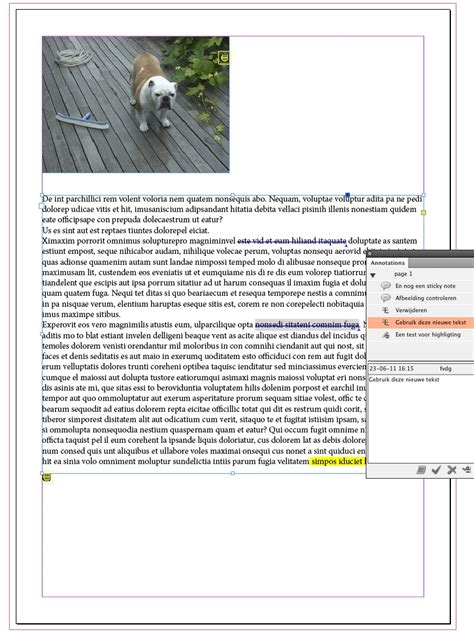 F Vd Geest Dtp Pdf Opmerkingen Annotations Direct Zien In Het Indesign Document Zelf
