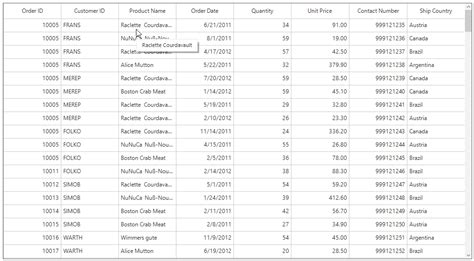 interactive features in windows forms datagrid syncfusion