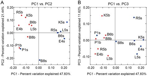 Distribution Of Bacterial Communities Along The Spatial And
