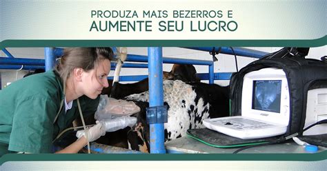 Curso de Inseminação Artificial e Estratégias de IATF em Bovinos CPT