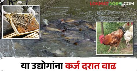 गावरान कोंबडी शेततळ्यातील मत्स्यपालन मधमाशा पालनासाठीच्या कर्ज