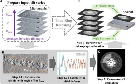 tilt series based joint ctf estimation for cryo electron tomography