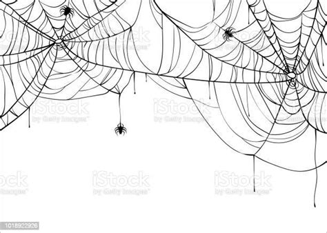 ハロウィーンのスパイダーはコピー領域とクモの巣のベクトルの背景クモの巣の背景が白で隔離 クモの巣のベクターアート素材や画像を多数ご用意