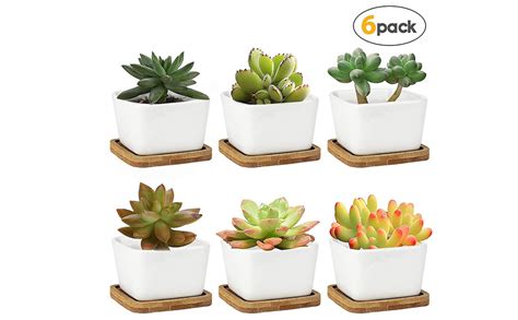 Lot de 6 mini pots de fleurs en céramique blanche de 6 5 cm avec