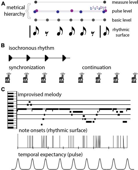 Rhythm In Music Examples