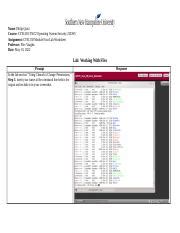 CYB Module Four Lab Worksheet Philip Quist Docx Name Philip Quist Course CYB T