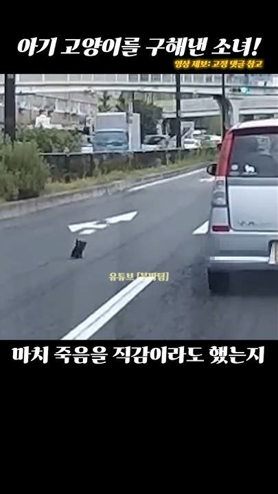 소녀에 대해 당신이 몰랐던 사실 Youtube