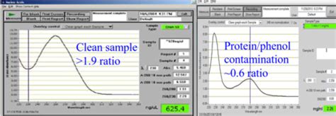 Dna Quantification Flashcards Quizlet