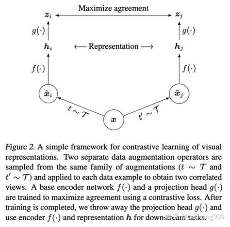 初探对比学习 Contrastive Learning 知乎