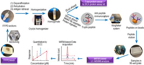 Schematic Representation Of Lc Msms Methodology To Quantify Clinical