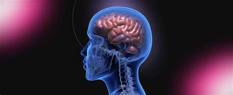 can memorizing the quran improve memory unveiling the benefits my