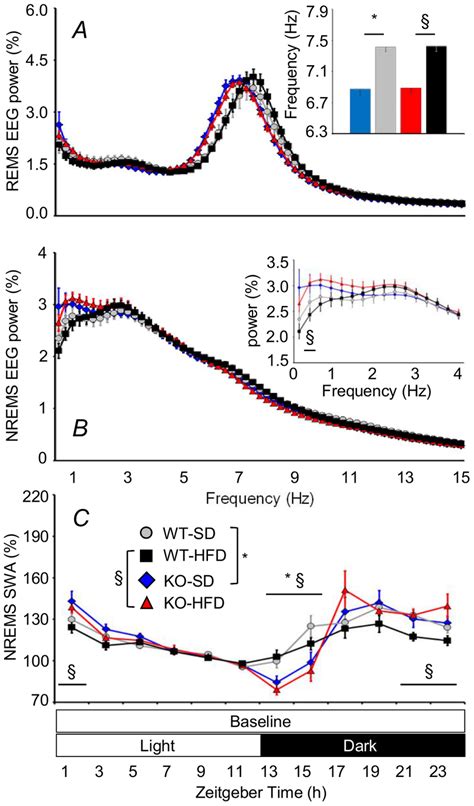 Electroencephalographic Eeg Rhythms During Sleep In Ko And Wt Mice