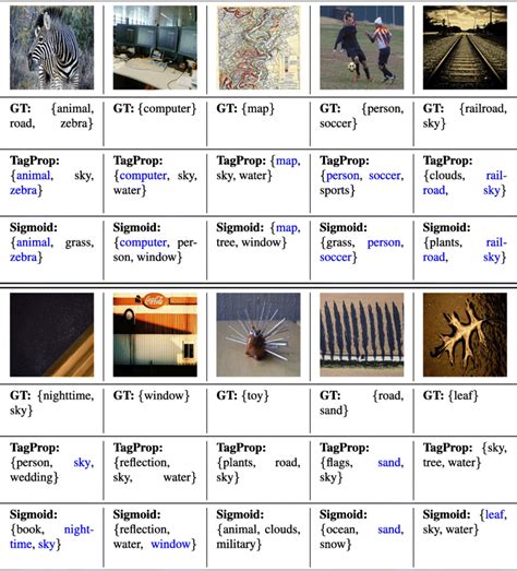Examples From The Most Overlapping Images Top And The Least Download Scientific Diagram
