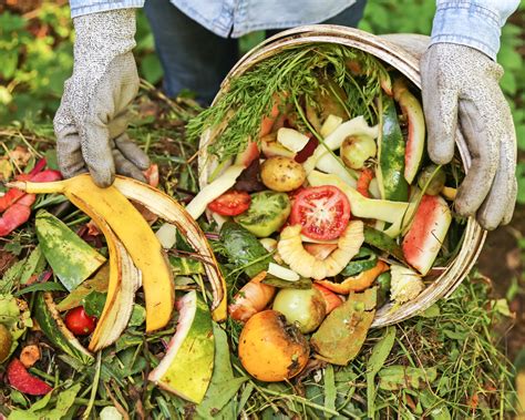 Types Of Composting Explained Find The Best Method For You Gardening Know How