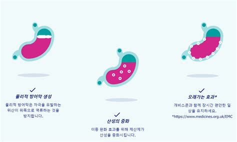 개비스콘게비스콘 효과 가격 위장약 부작용 정리 5분전 유용한 건강 요리 소식
