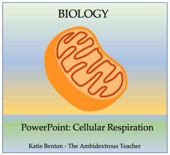 Powerpoint Cellular Respiration Tpt