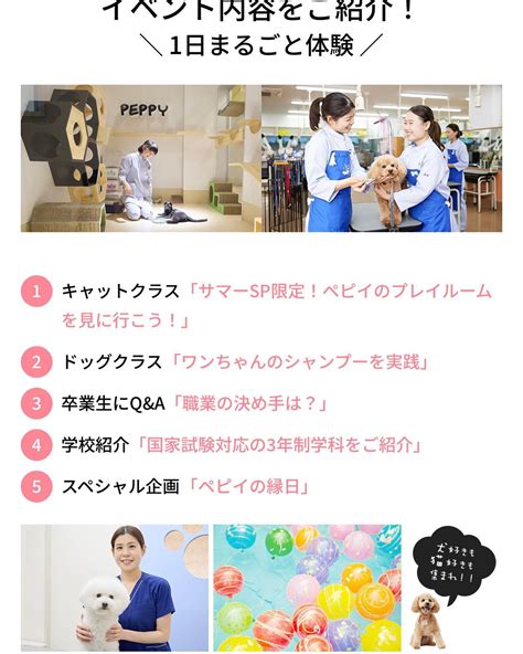 大阪ペピイ動物看護専門学校