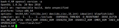 安装openssl，nginx安装openssl模块 with openssl csdn博客