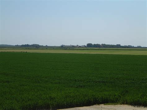 Imageafter Images Maartent View Country Flat Field Fields Farm Farmhouse