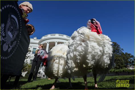 The Two Turkeys Joe Biden Pardoned Ahead Of Thanksgiving 2022 Nearly