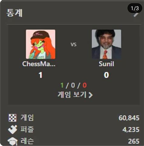 체스막타 근황 체스 마이너 갤러리