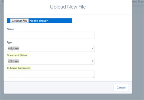 Apex How To Use Html Accept Attribute In Visualforce Page