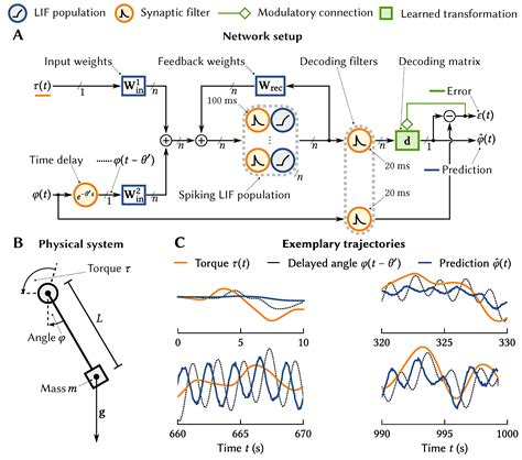 Biologically Based Computation How Neural Details And Dynamics Are