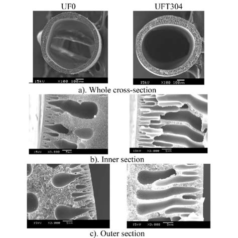 Membrane Morphology Observed By Scanning Electron Microscopy Sem