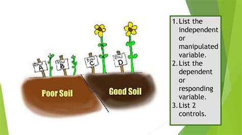 What Is Science And How Does It Work Ppt Download