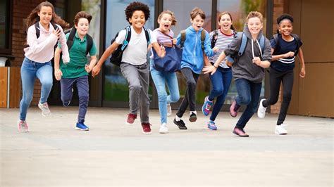 Navigating The Dutch Educational System